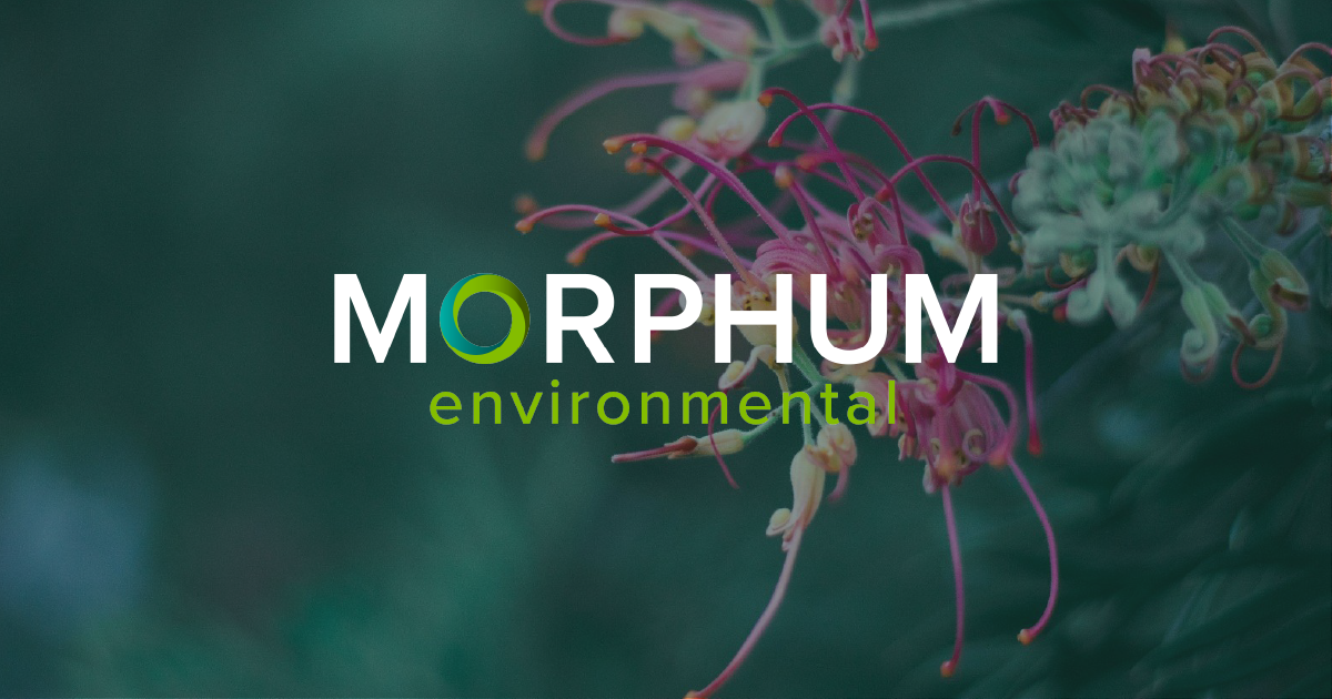 About Morphum Environmental | Australia Engineering, Science, Geospatial and Sustainability ...